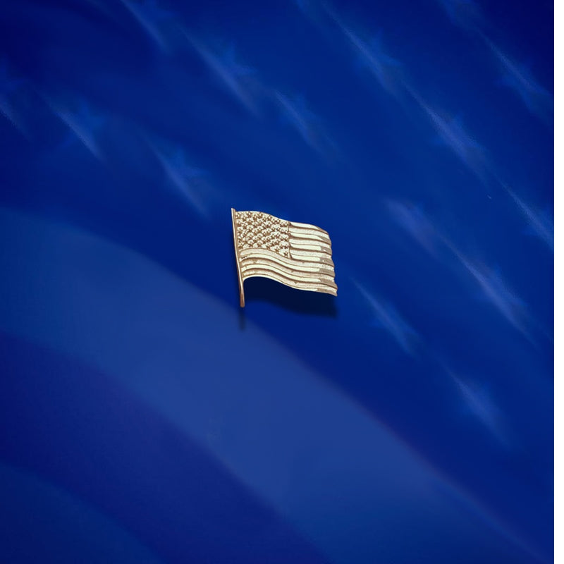Gold Flag Lapel Pin – Ann Hand