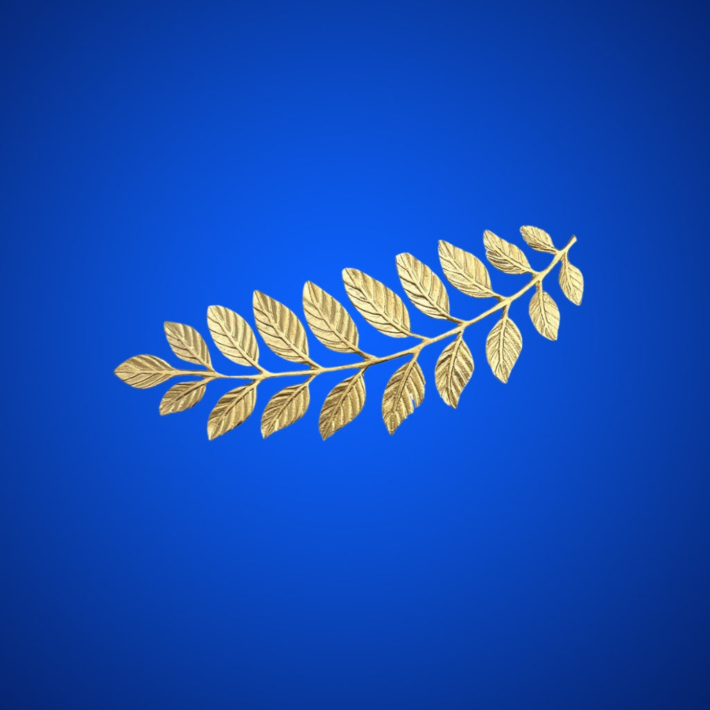 Olive Branch – Ann Hand