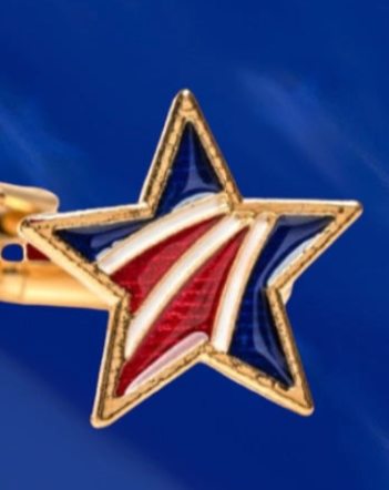 Blue Star Families Lapel Pin (2022 version) – Ann Hand